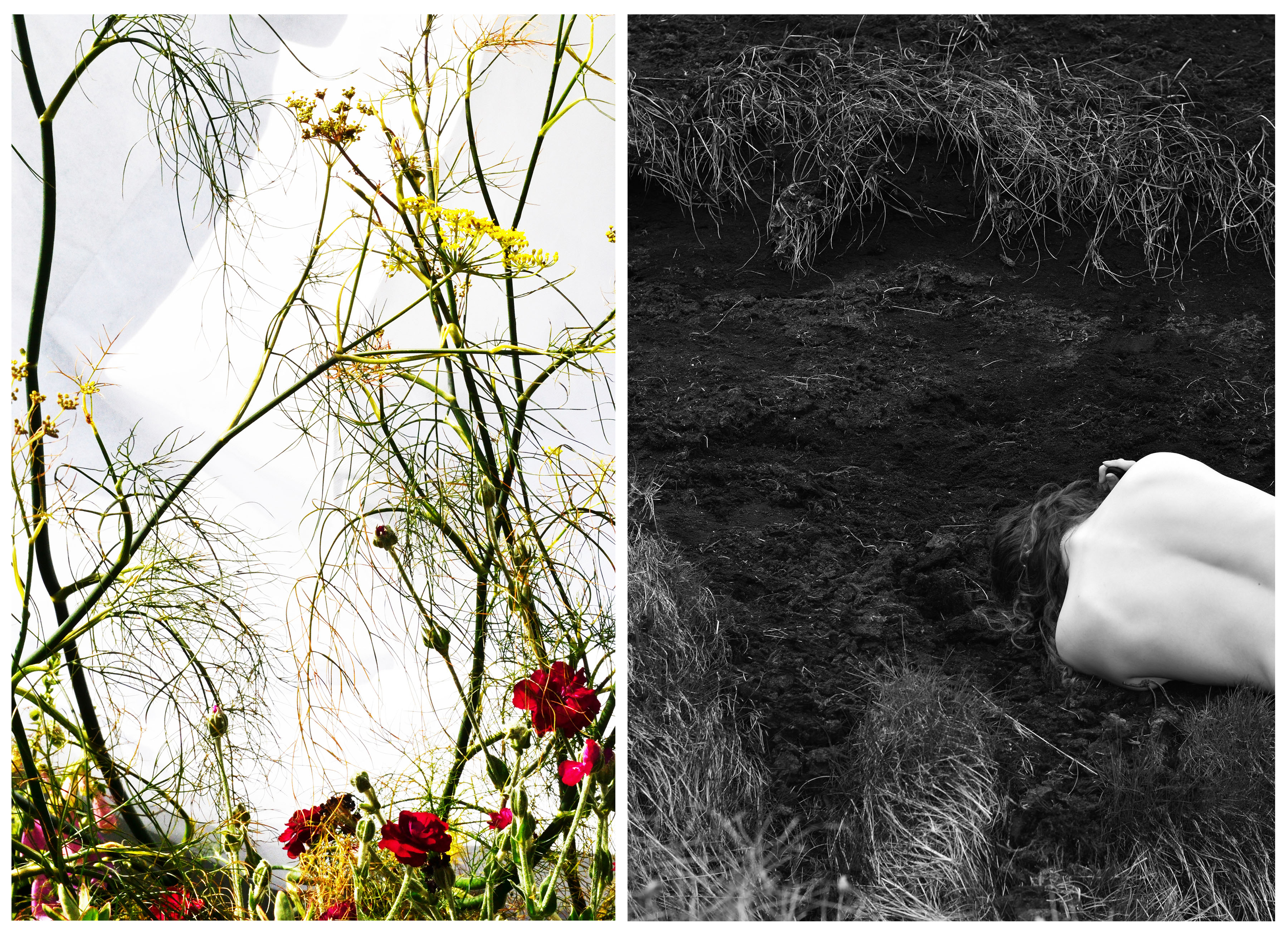 Maya Sharp - Photography and Storytelling | Redeye