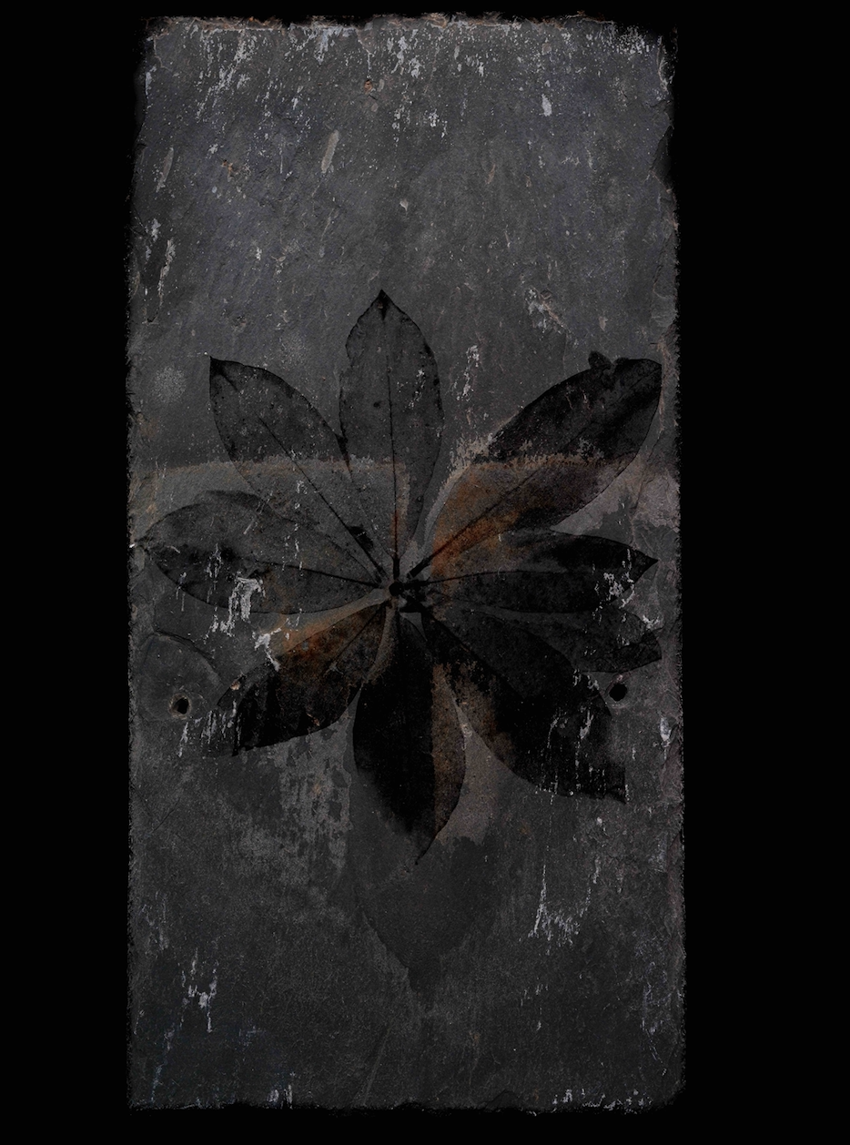 Introducing Redeye Graduate Award Winner 2023: Ryan Yare | Redeye