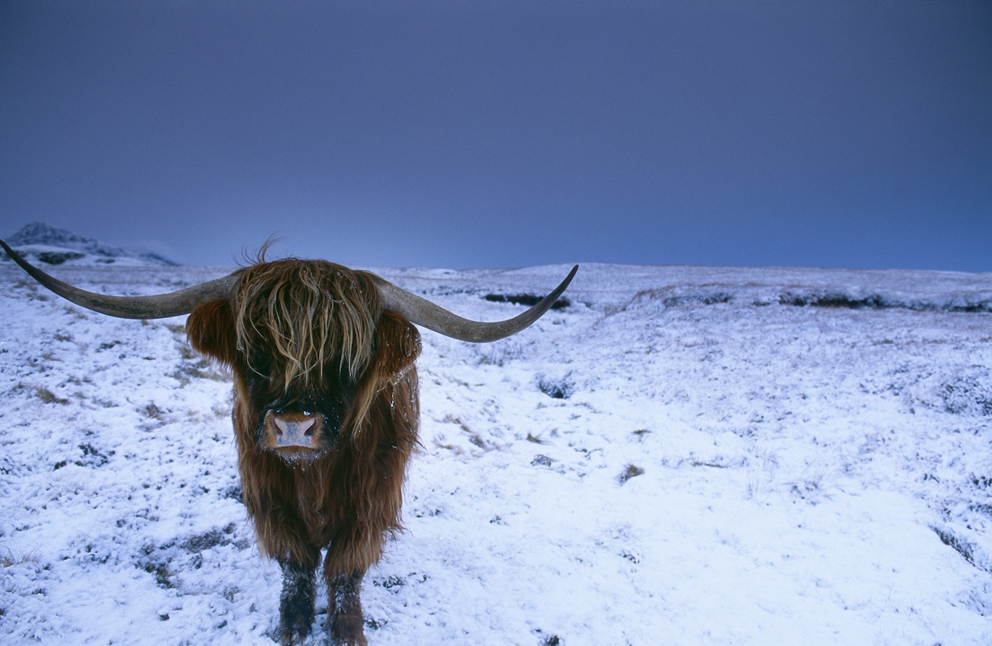 David Noton ‘The Final Touch: A Commitment to Quality’ | Redeye