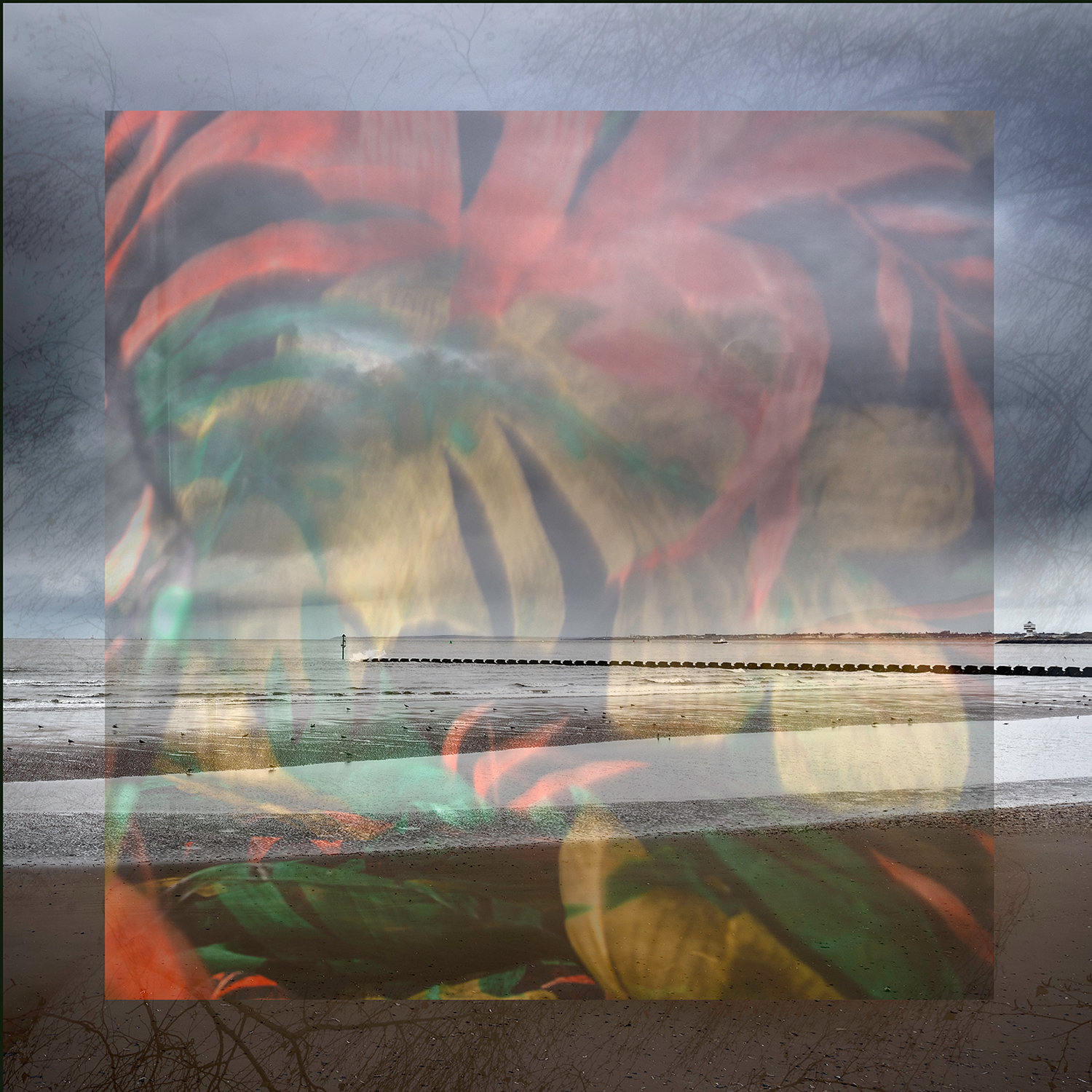 Transformative Moments | Redeye