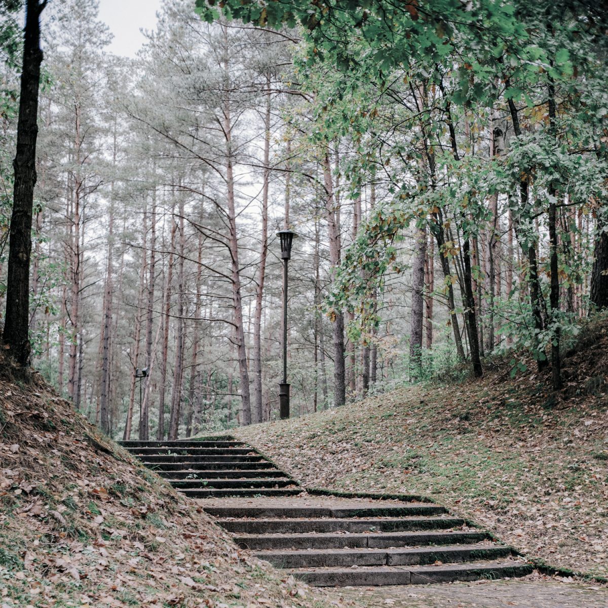 Artist Talk with Marc Wilson at Impressions Gallery | Redeye